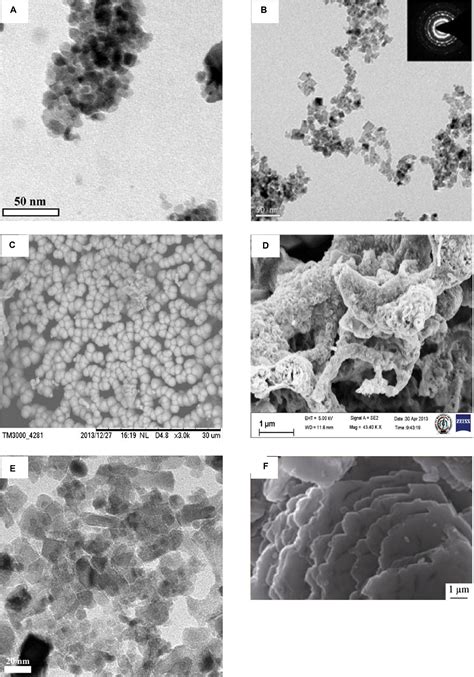 Frontiers Cerium And Its Oxidant Based Nanomaterials For