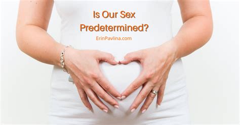 Is Our Sex Predetermined • Erin Pavlina Intuitive Counselor