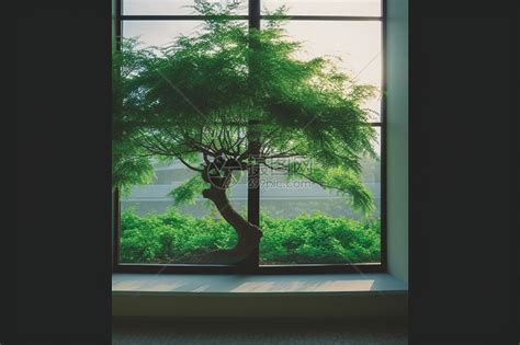 窗外的植物高清图片下载 正版图片600216554 摄图网