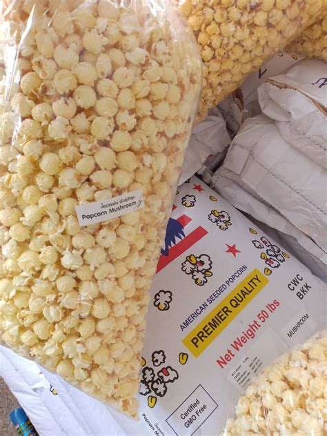 ขายเมล็ดข้าวโพดคั่ว🌽🍿 ทรงกลม Mushroom Popcorn ตรานกอินทรีย์🦅 แบ่งขาย