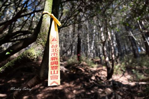 【南投郡大山】cp值超高新手入門百岳！3小時輕鬆攻頂，沿路美景超好拍，南投住宿、接駁車、路線攻略 健行筆記