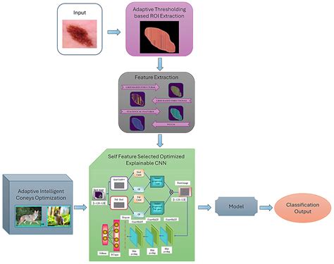 Ijms Free Full Text Grid Based Structural And Dimensional Skin