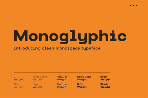 monoglyphic monospace font perfect for minimalist designs coding