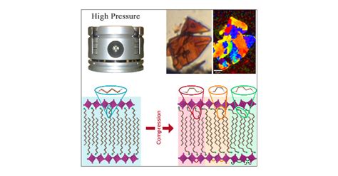 Conformational Disorder In A Hybrid 2d Perovskite With A Long Aliphatic Chain Under Pressure