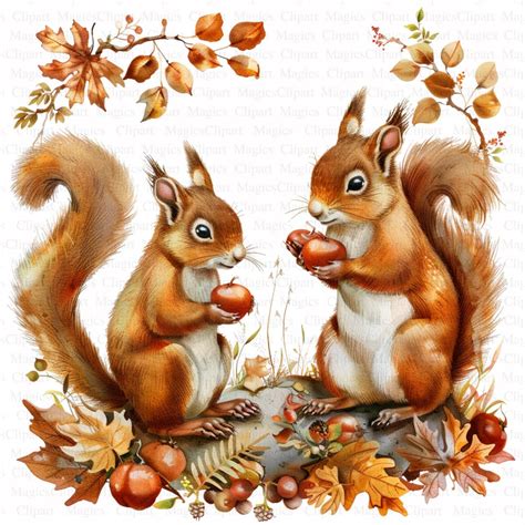 Watercolor Squirrels Clipart Autumn S Digital Download Etsy