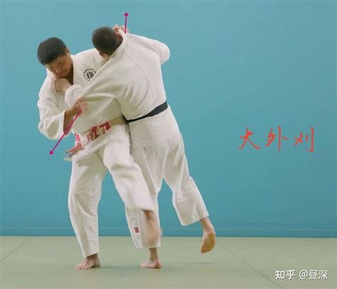 武道杂谈⑧大外刈大外返和大外落三者的相似点 知乎