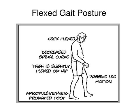Ppt Gait Analysis Powerpoint Presentation Free Download Id753931