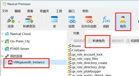 navicat 技术指引 适用于 gaussdb 分布式的用户 权限功能