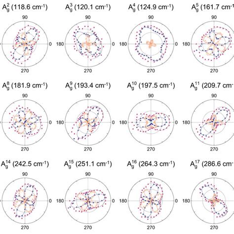 Polar Plot Of The 18 Raman Modes Angular Dependence Of The 18 A G