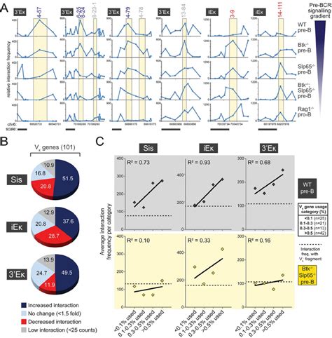 Long Range Chromatin Interactions Of K Regulatory Elements Correlate