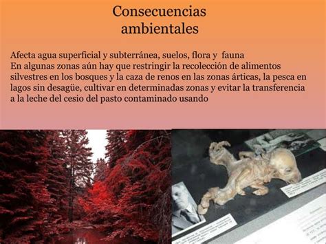 Chernobyl PPT Descarga Gratuita