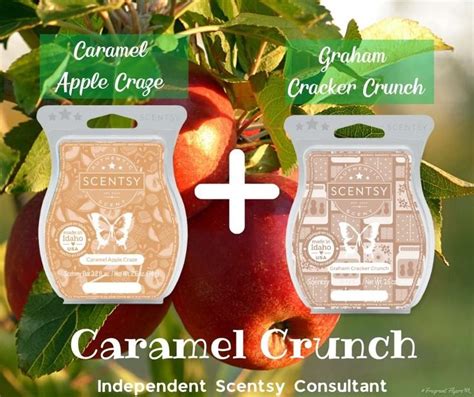 Pin On Scentsy Scentsy Wax Bars Scentsy Scentsy Scent