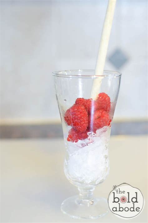Homemade Sparkling Raspberry Water