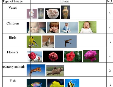 Depicted The Dataset That Is Used For Evaluating The Proposed Method