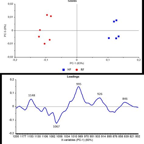 Pca Scores And Loadings Plots For All Of The Samples Over 1700 1500 Cm