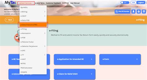 Understanding Form E A Comprehensive Guide To E Filing Submission