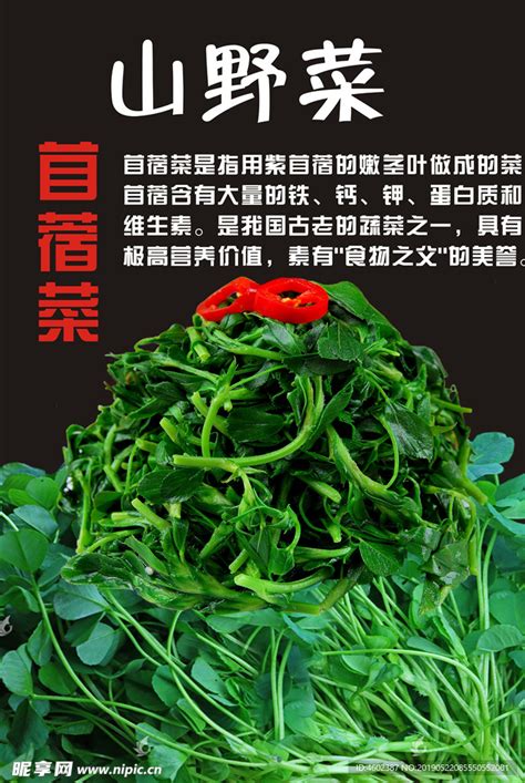 苜蓿菜设计图 PSD分层素材 PSD分层素材 设计图库 昵图网nipic