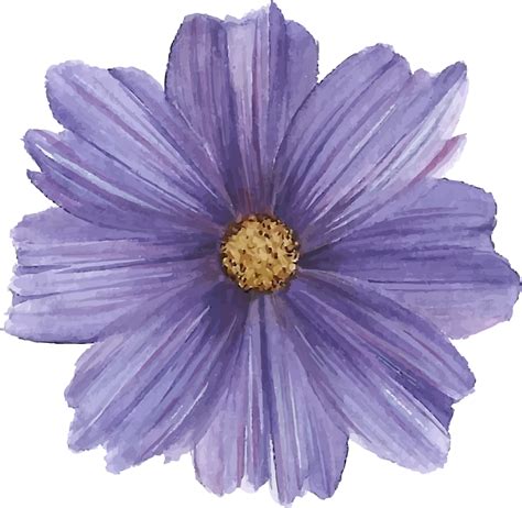 Home Sea Lavender Wellness And Spa