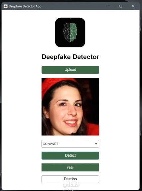 Deepfake Detection App Using Matlab نفذلي
