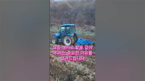 2024년 감자 심기 준비 트랙터 쟁기작업 Youtube