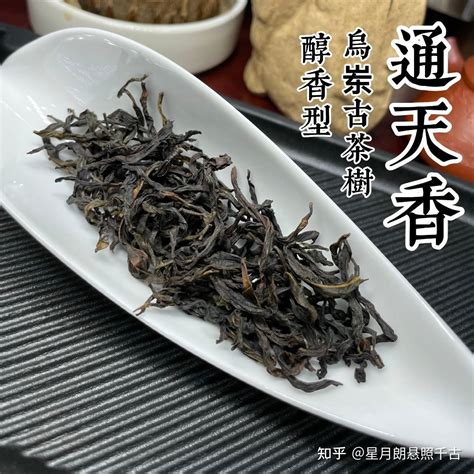 单丛茶的十大香型，你都知道哪几种？