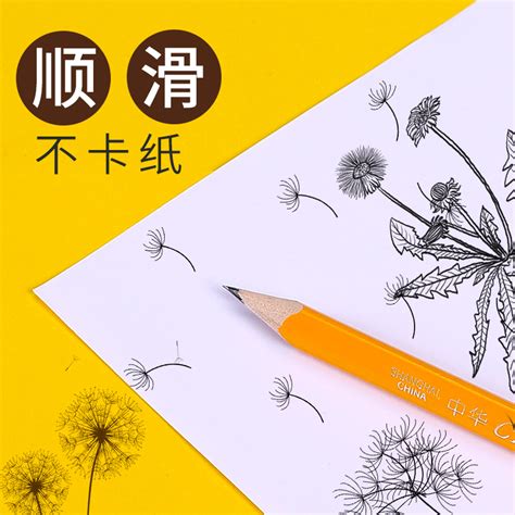 中华牌大三角铅笔儿童用矫正握姿HB幼儿园粗杆小学生硬笔书法练字2b安全无毒正品2比三棱文具宝宝专用一年级 虎窝淘