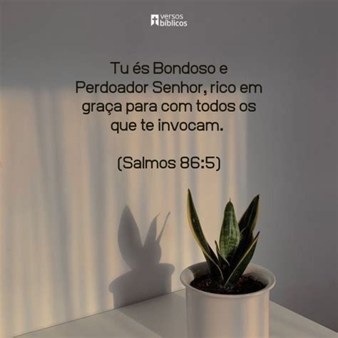 Salmos De Gratidão A Deus Versículos Bíblicos Versículos Do Dia