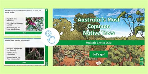 Australias Most Common Native Trees Multiple Choice Quiz