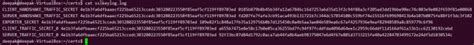 Decrypt Https Ldaps Traffic Using Wireshark Working Golinuxcloud