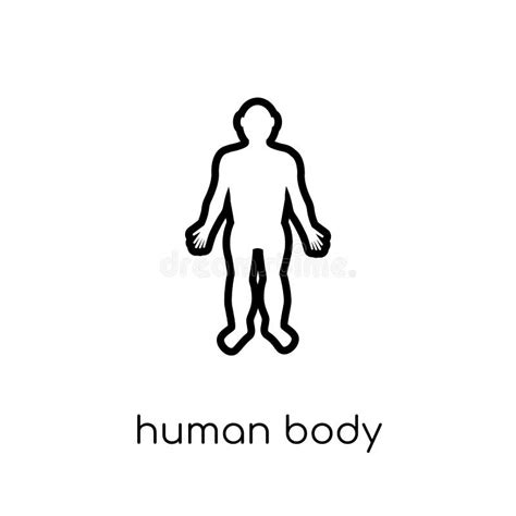 Human Body Standing Black Icon Trendy Modern Flat Linear Vector Stock