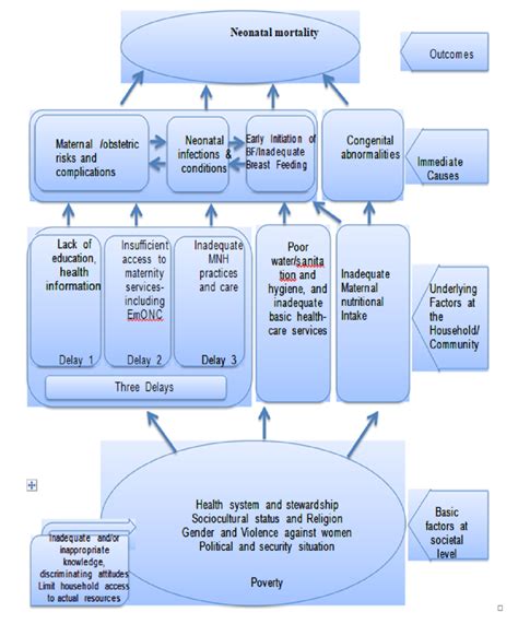 Adapted from UNICEF Conceptual framework (UNICEF, 2009) | Download ...