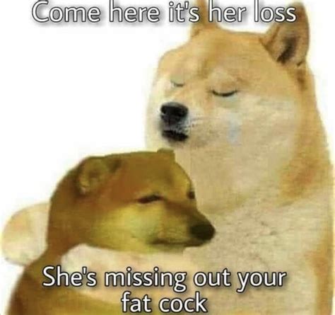 Poor Cheems R Cheemsburbgerlore