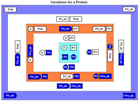 Variations For A Protein Experiments Regarding The Proteomic Code Are Download Scientific