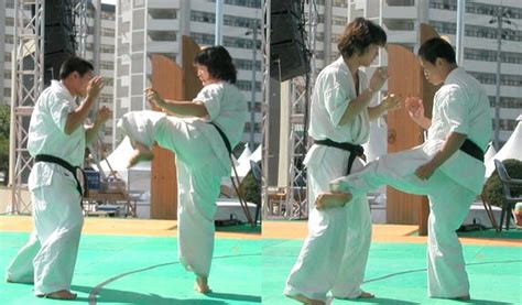 충주세계무술축제 포토 일본 극진가라데