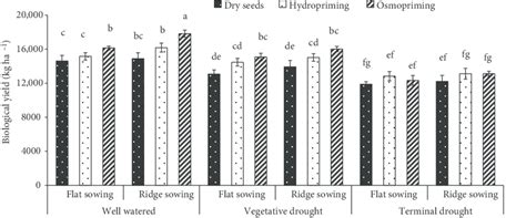 Effect Of Different Seed Priming Techniques And Sowing Methods On