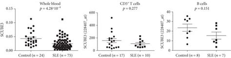 Low Expression Of Scube3 In Sle Patients The Levels Of Scube3 Mrna
