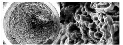Common Defects In Fastener Raw Materials Machinemfg