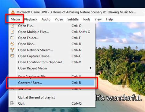 Vlc Could Not Open The Mpga Mp V Mp A Audio Encoder