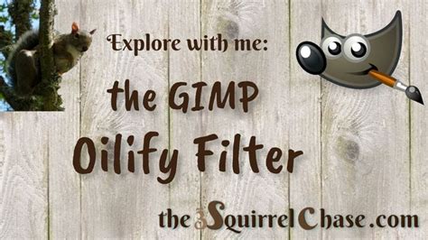 Gimp Oilify Filter Demo Gimp Cubism Photo Editing Techniques