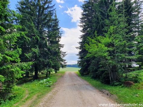 Prin Cheile Lucavei Spre Herghelia Lucina Taraba Cu Amintiri