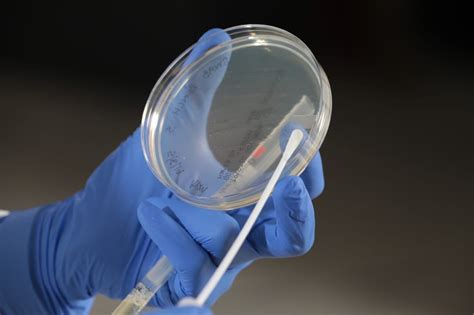 Cannabis Firm Harvest Health Seals 25 Million Franklin Labs Purchase