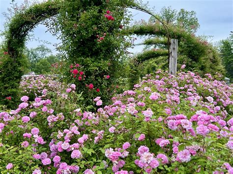 The Primary Project Added A New Photo The Primary Project