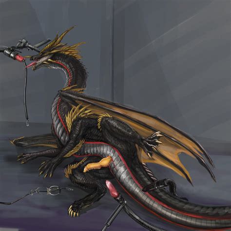 Rule 34 Dragon Drone Dronification Erection Genitals Hi Res Intersex