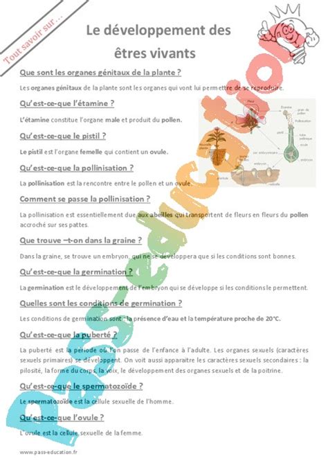 Sciences Nouveau programme CM1 Exercice évaluation révision leçon