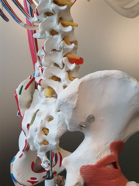 Schmerzklinik Zürich Ag On Linkedin Curonix Peripheral Nerve Stimulation