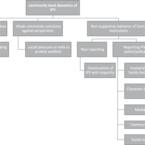 Community Level Dynamics Of Ipv Download Scientific Diagram