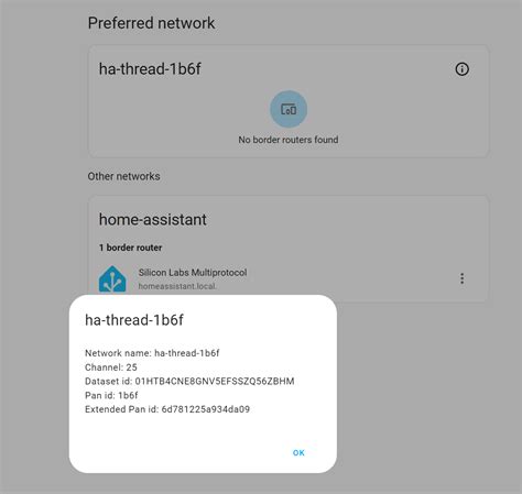 network issue when adding new thread device on my baremetal