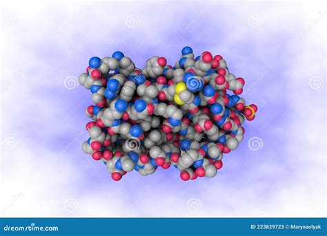 Space Filling Molecular Model Of Human Interleukin 6 Or Il 6 Atoms Are