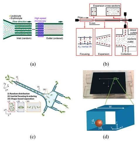 Sensors Special Issue Sensors And Lab On A Chip