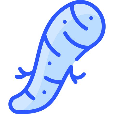 Arrowroot Vitaliy Gorbachev Blue Icon